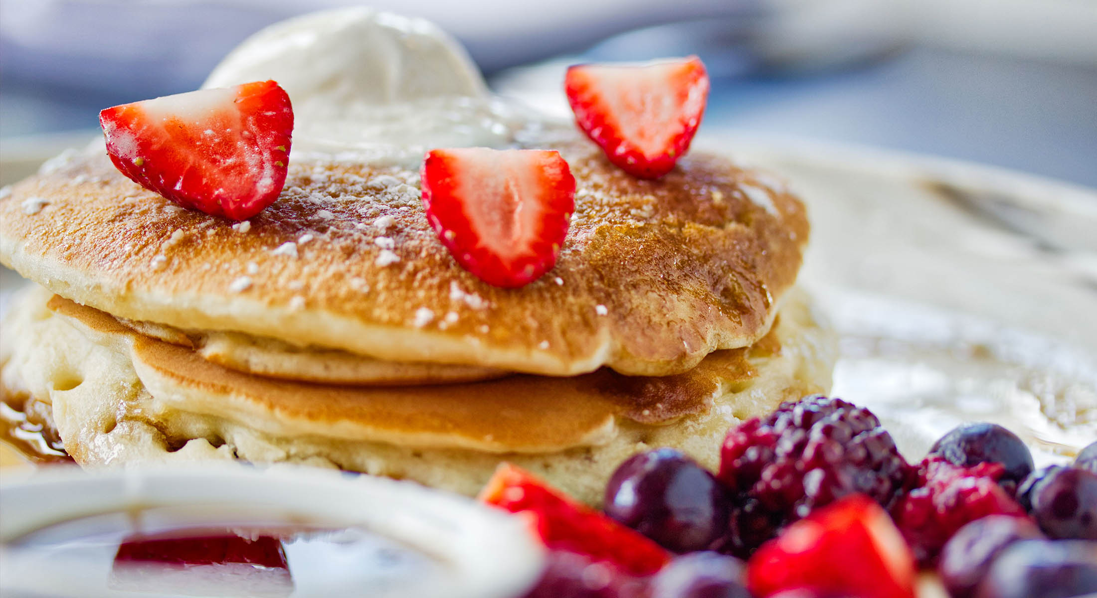 Century Inn Traralgon | OFFICIAL SITE | 4 Star Motel and conference center