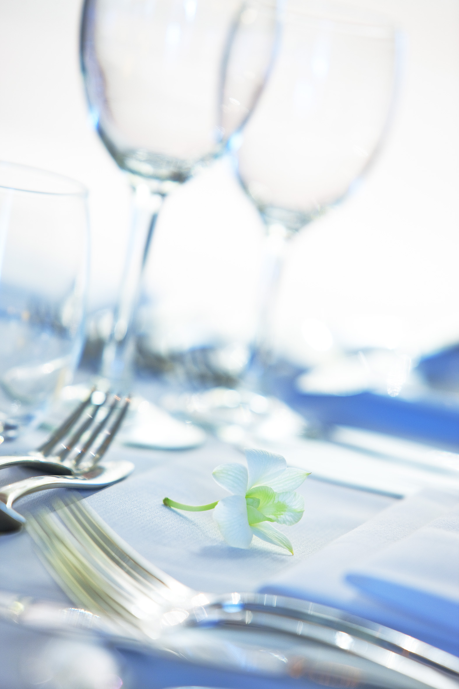 Century Inn Traralgon | Restaurant, Bar, Rooms in Victoria | Gallery